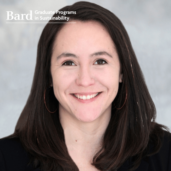 Exploring Careers in Sustainability: Choosing Your Path for Success
