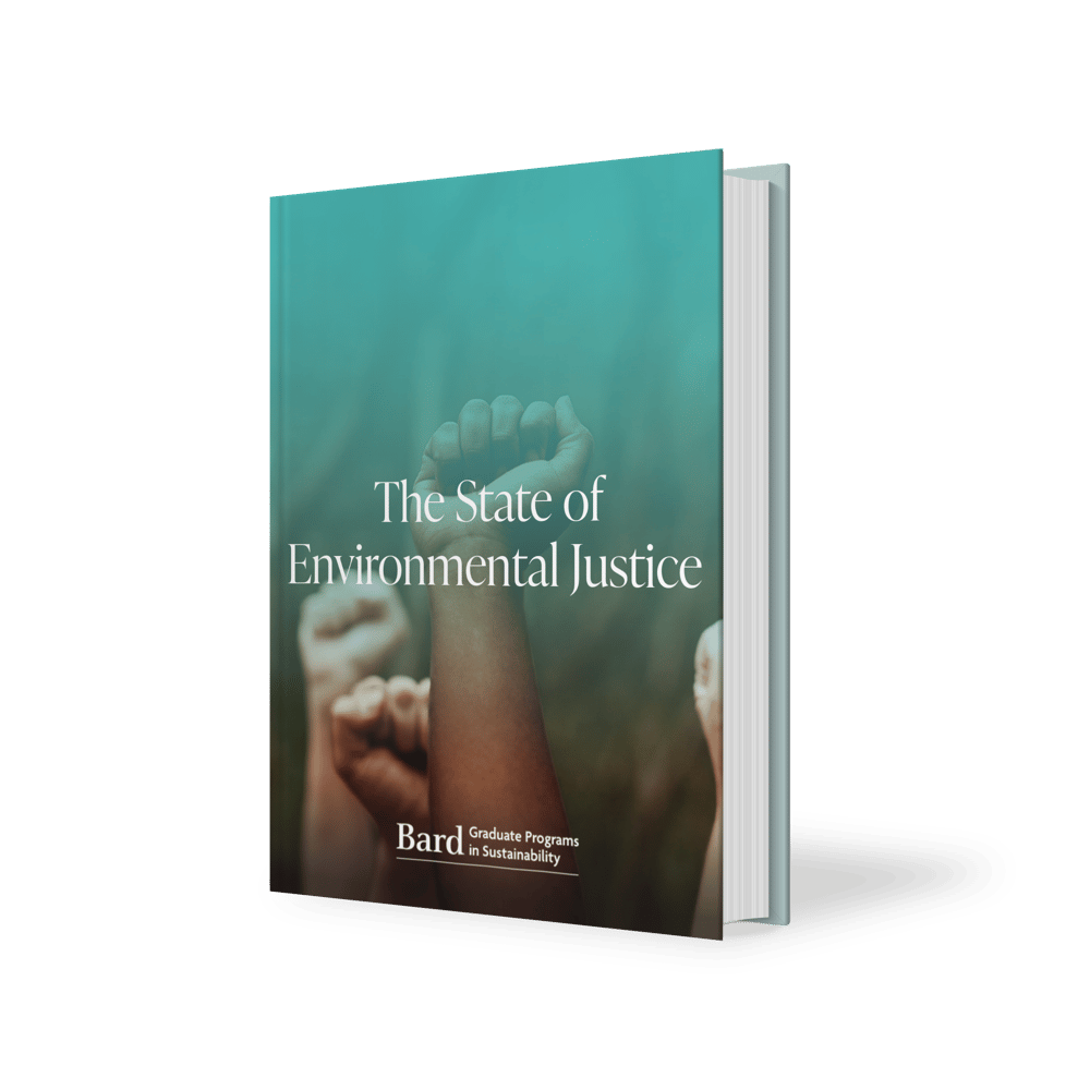 The Principles of Environmental Justice